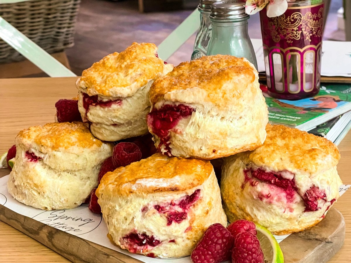 Pashe Taylor – Interiors, travelling and food